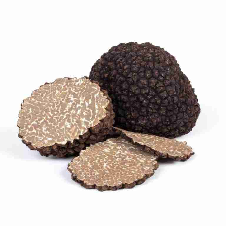 Truffles Canada: Different Types of Truffles in Canada