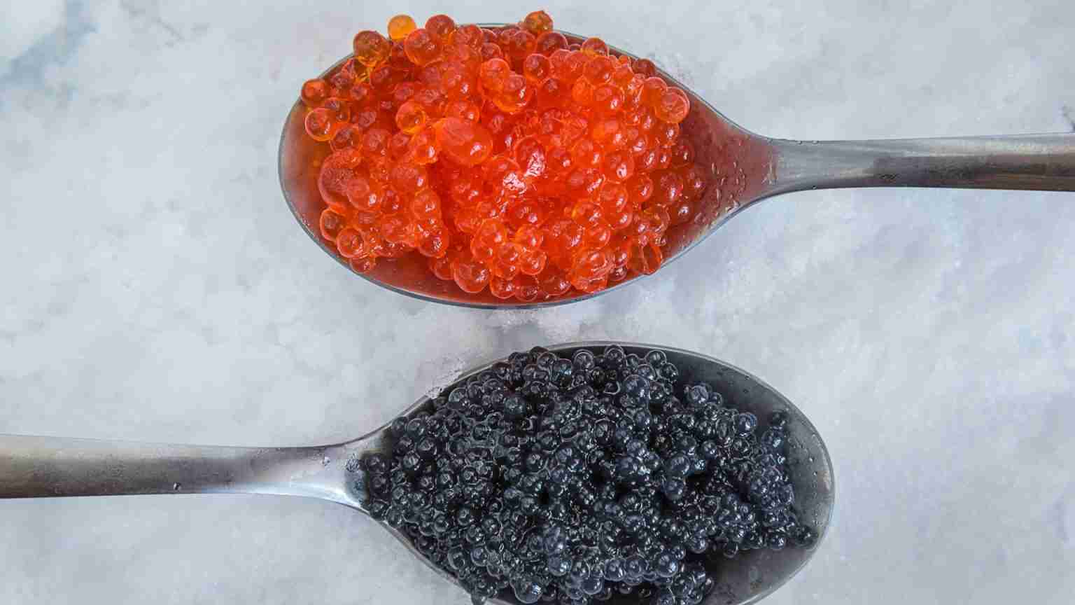 Does All Caviar Taste the Same? Unveiling the Differences in Flavor and ...