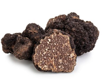 Fresh Truffles Canada | Truffles Canada | IHOC
